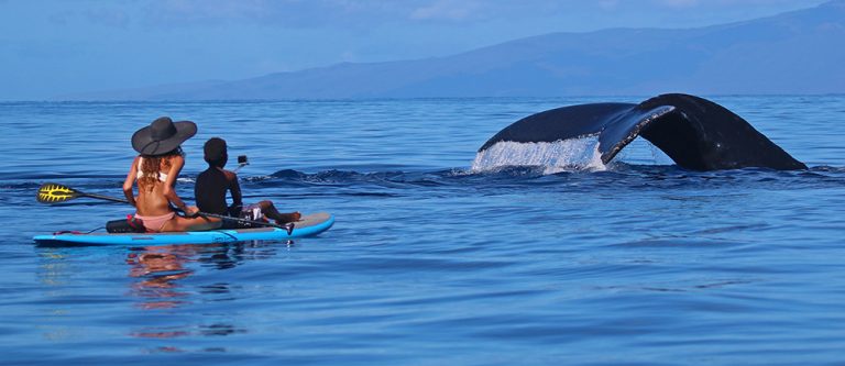 Maria Emmerich – Keto and Carnivore with Maria and Craig Emmerich