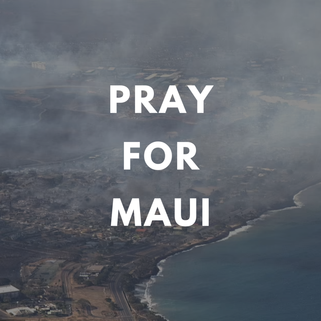 Maria Emmerich – Keto and Carnivore with Maria and Craig Emmerich